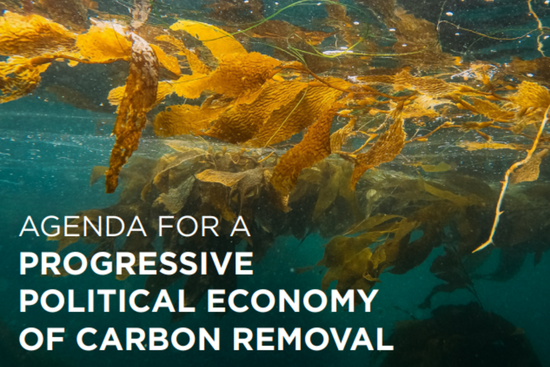 Center for Environment, Community, & Equity (CECE) Home - Center for ...